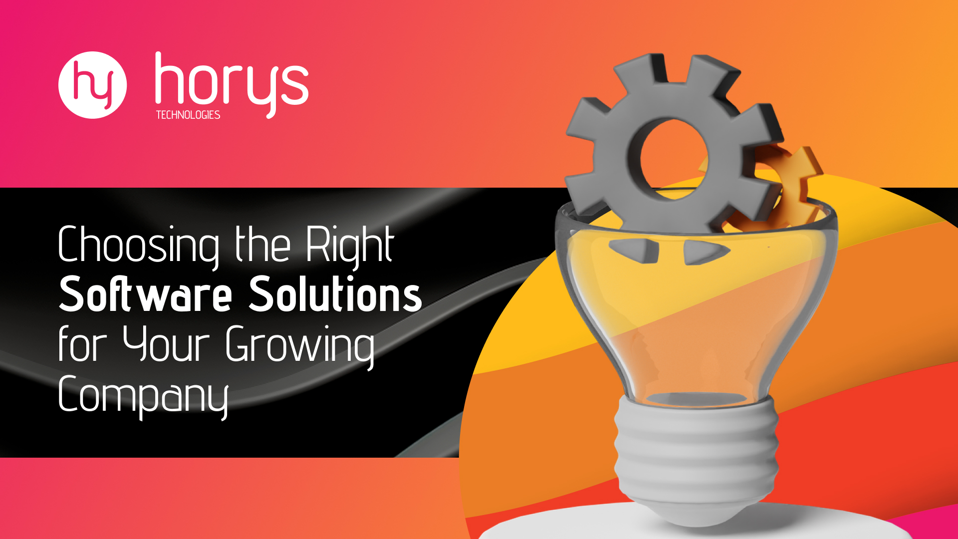 The Right Software Solutions for Your Company - Horys Blog